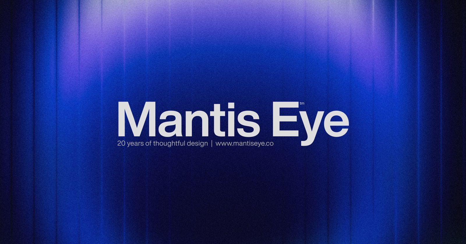 About Mantis Eye – Your Partner for Branding, UI/UX, SEO & Digital Strategy